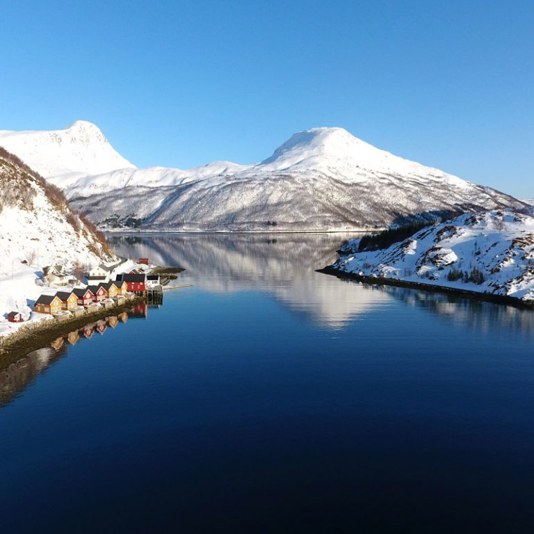 Explore The Arctic - Let's discover the north