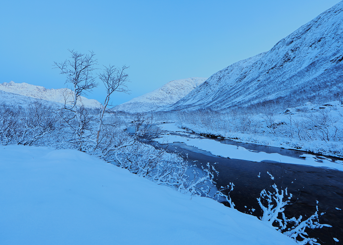 Arctic road trip Kvaløya - Explore The Arctic